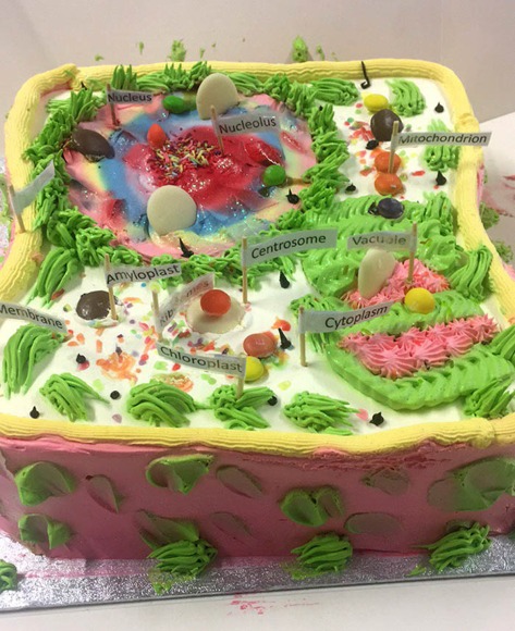 Cell Model Cake - Media - Forest Gate School
